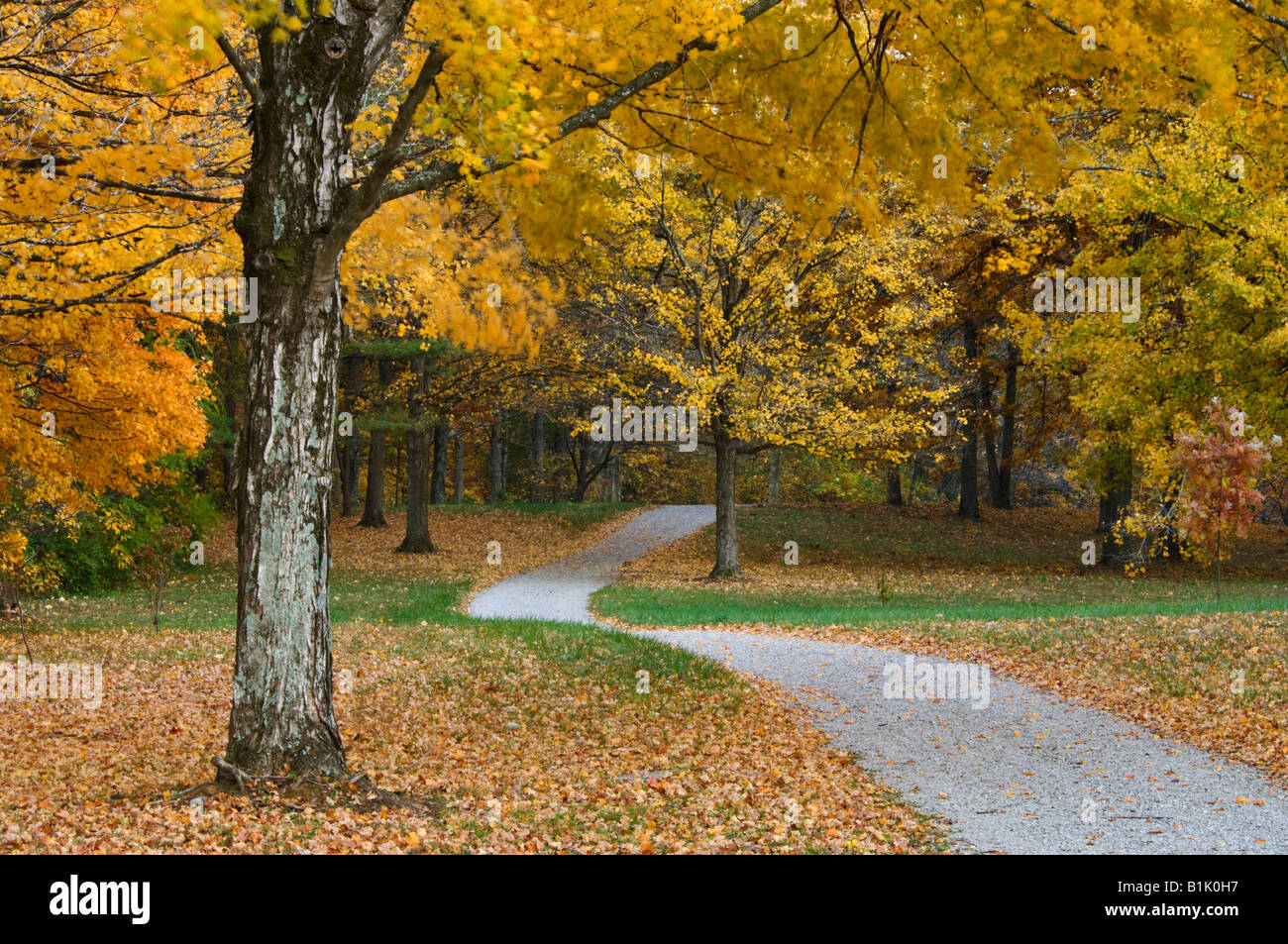 Gravel Path Winding Through Autumn Woods in Bernheim Arboretum and ...