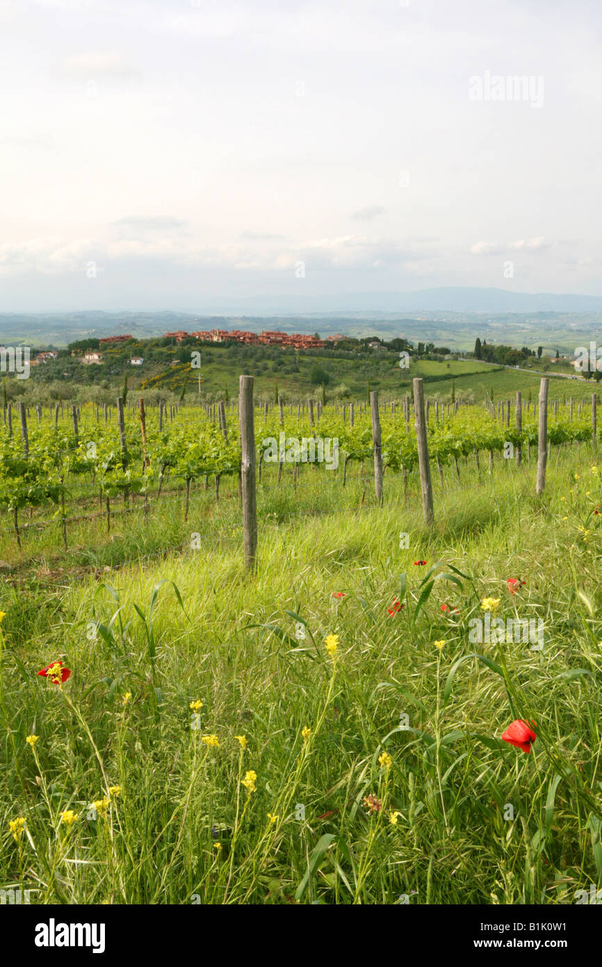 A Tuscan landscape with the hill top village of Montaione in the ...