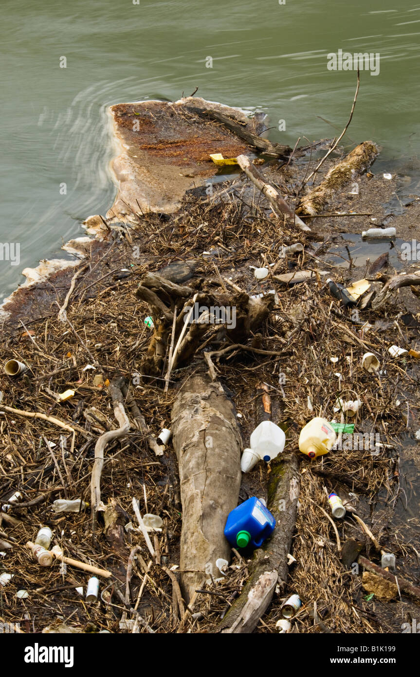 Trash and Debris Caught up on Driftwood Raft on the Cumberland River ...