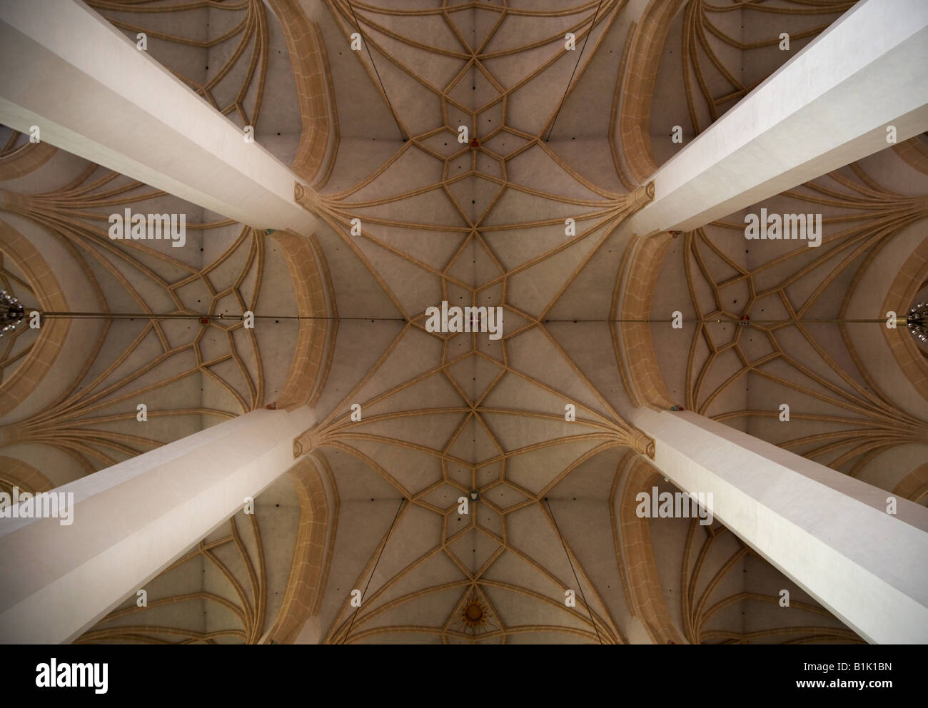 detail of the ceiling of the interior of the Frauenkirche catholic ...
