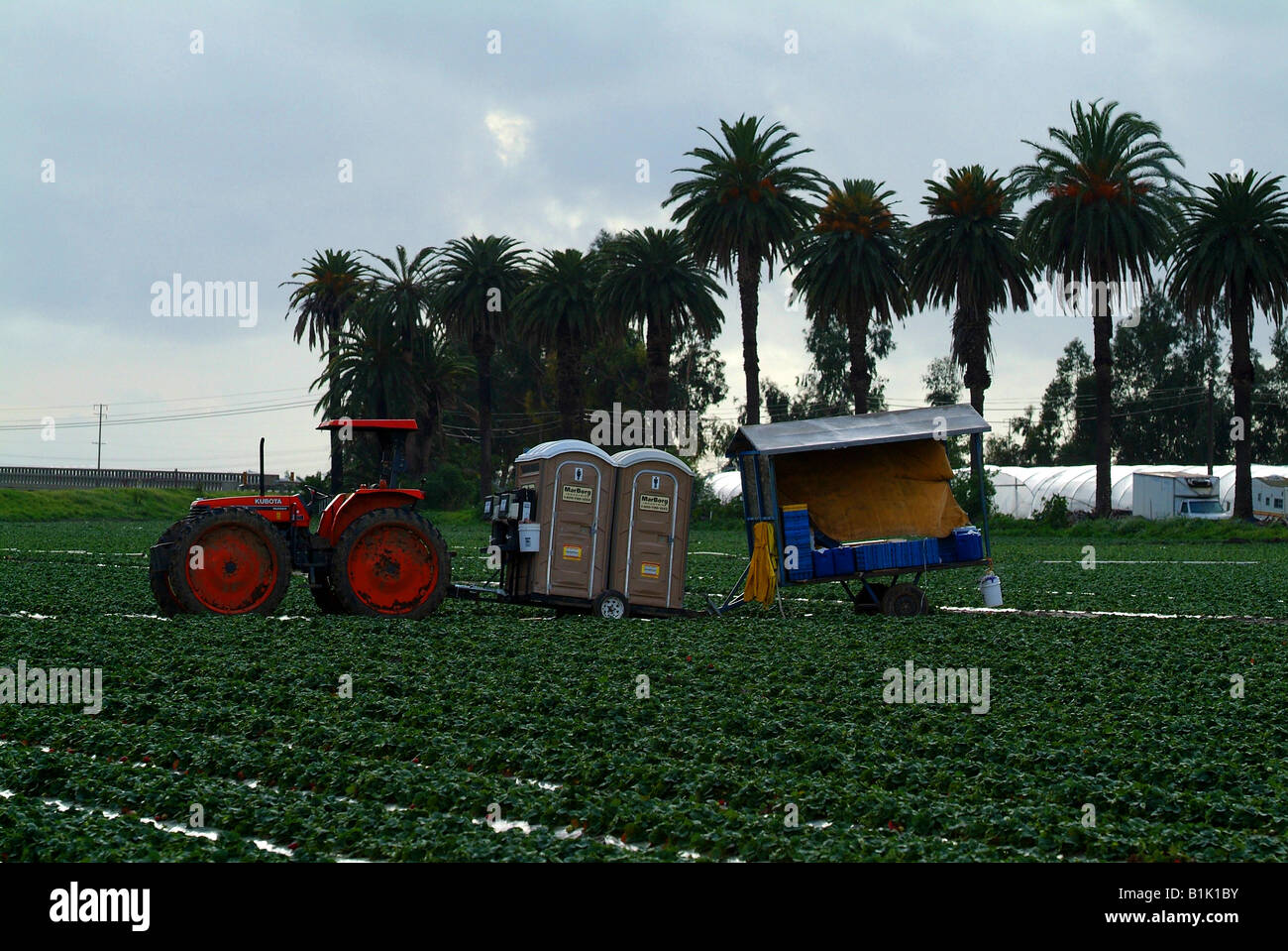 Crop pickers equipment and toilets in a field in California Stock Photo ...