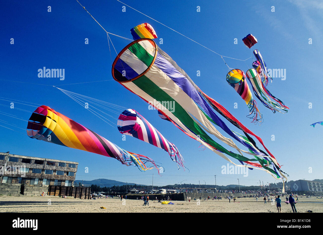 Tubular kites flying during the Spring Kite Festival at D River Wayside ...