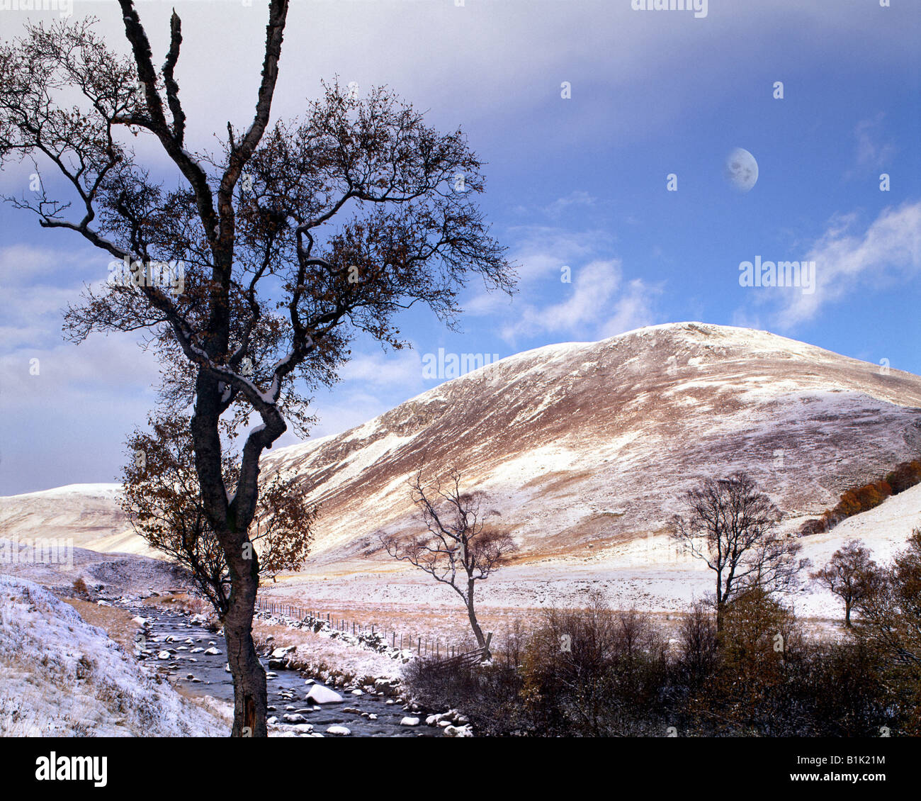 Scottish winter scene hi-res stock photography and images - Alamy