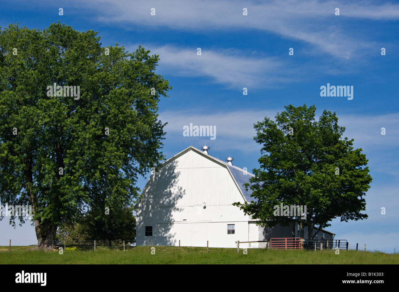 White Barn and Shade Trees on Midwestern Farm in Washington County ...