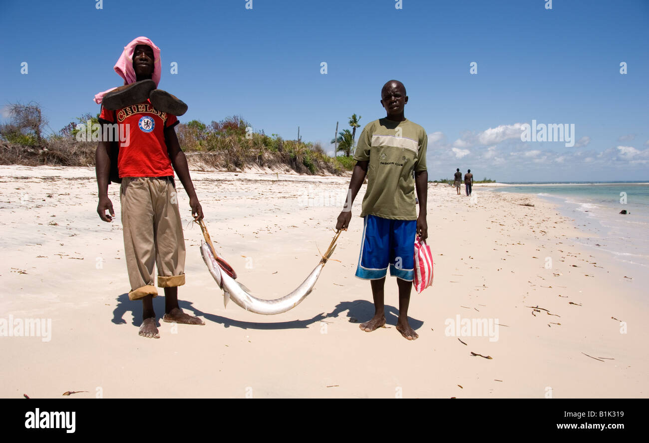 Two men carrying a freshly caught great barracuda along the beach of ...