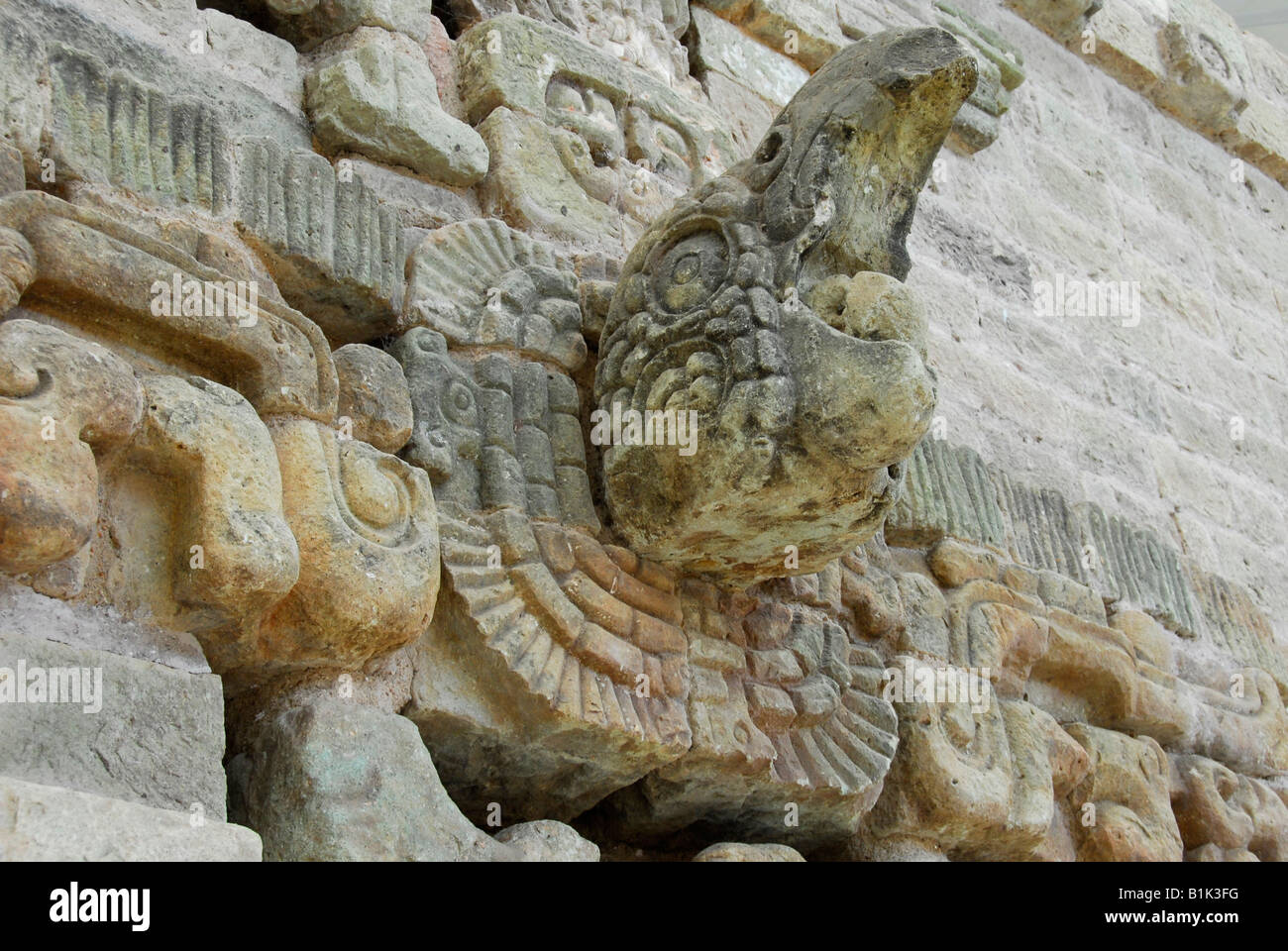 Carving in Copan Museum, Copan Ruins, Copan, Honduras, Central America ...