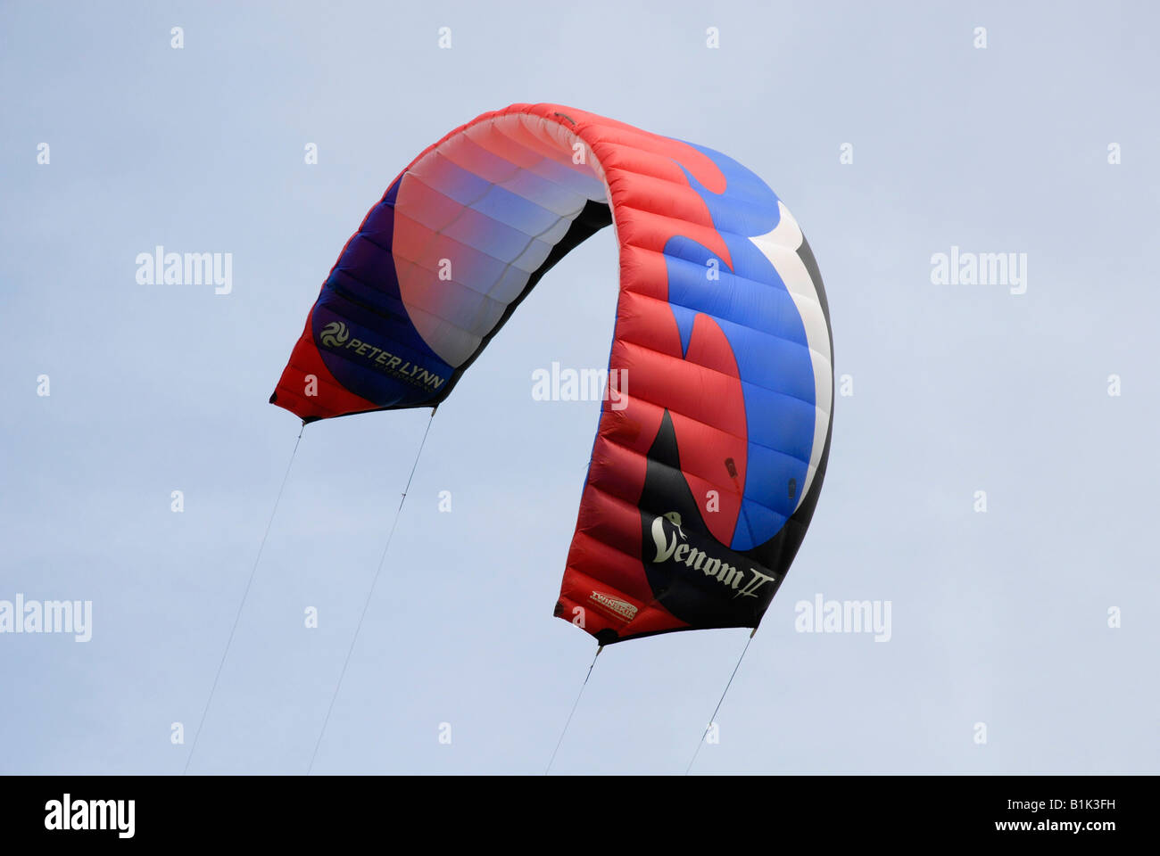 Kite, Close Up, UK Stock Photo - Alamy