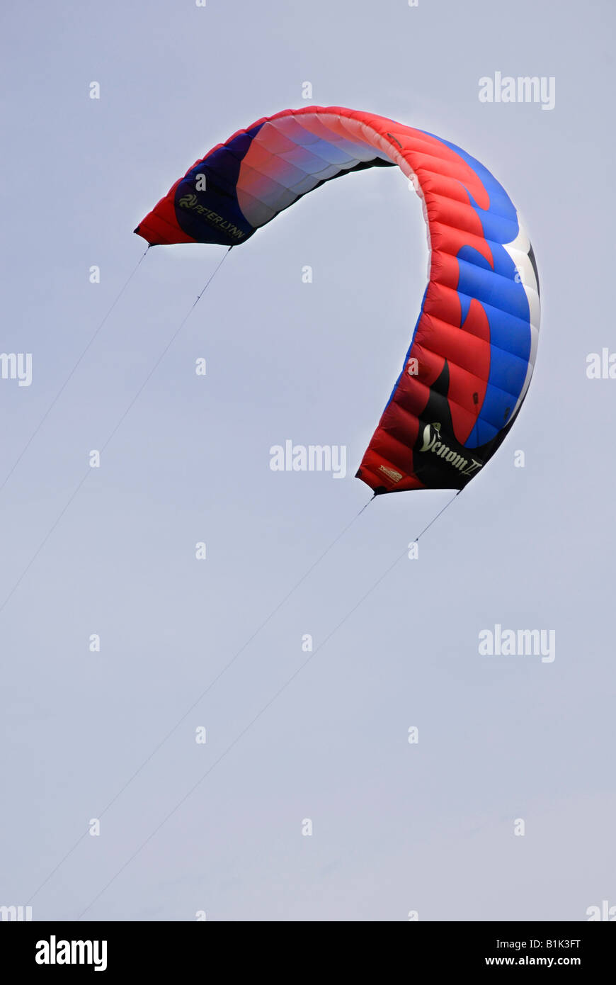 Kite, Close up, UK Stock Photo - Alamy