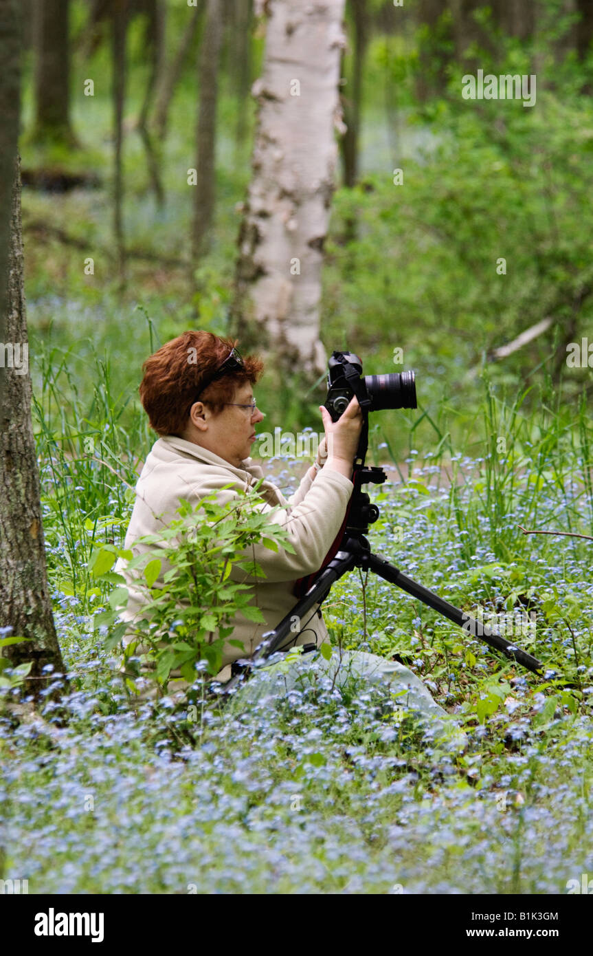 Woman Sitting Amid Forget me nots in Forest Adjusting Camera on Tripod ...
