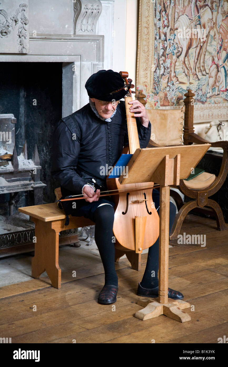 A gentleman in tudor period dress playing a stringed instrument Stock ...