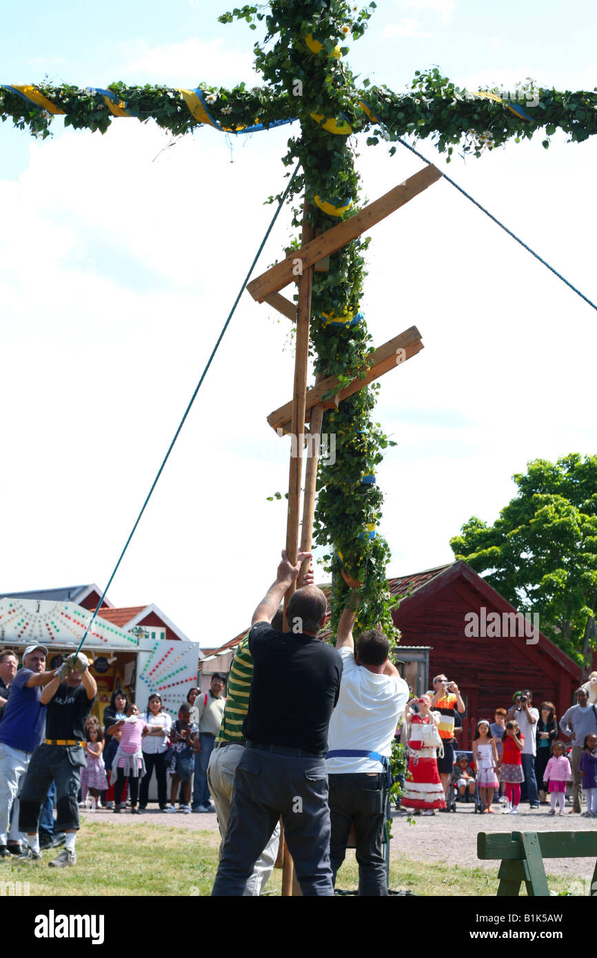 Traditional Swedish Midsummer's Eve's raising of a Midsummer's Pole ...