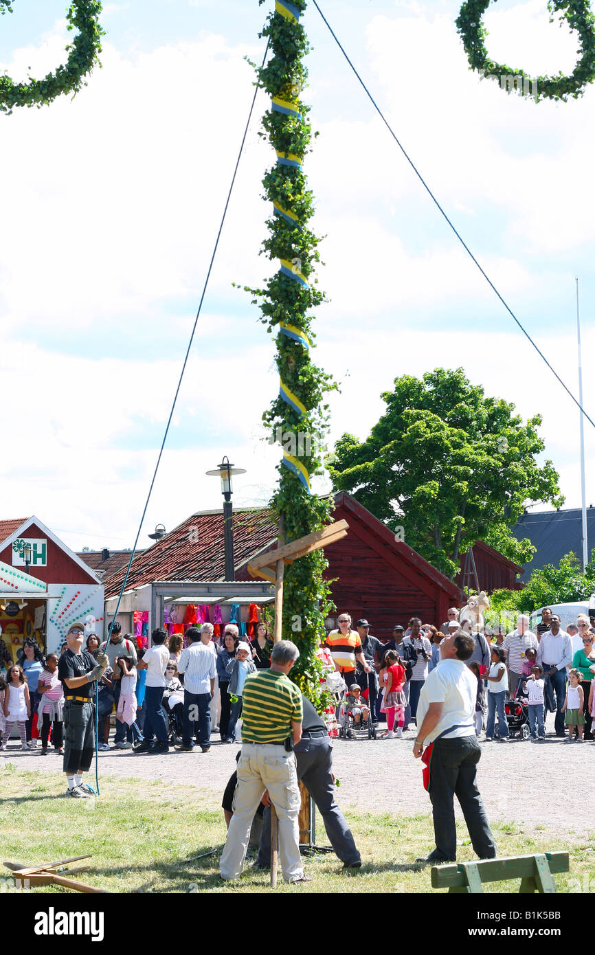 Traditional Swedish Midsummer's Eve's raising of a Midsummer's Pole Stock Photo - Alamy