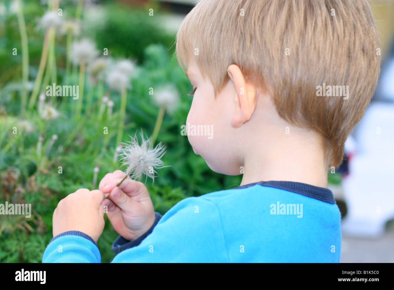 Kid looking at the flower Stock Photo - Alamy