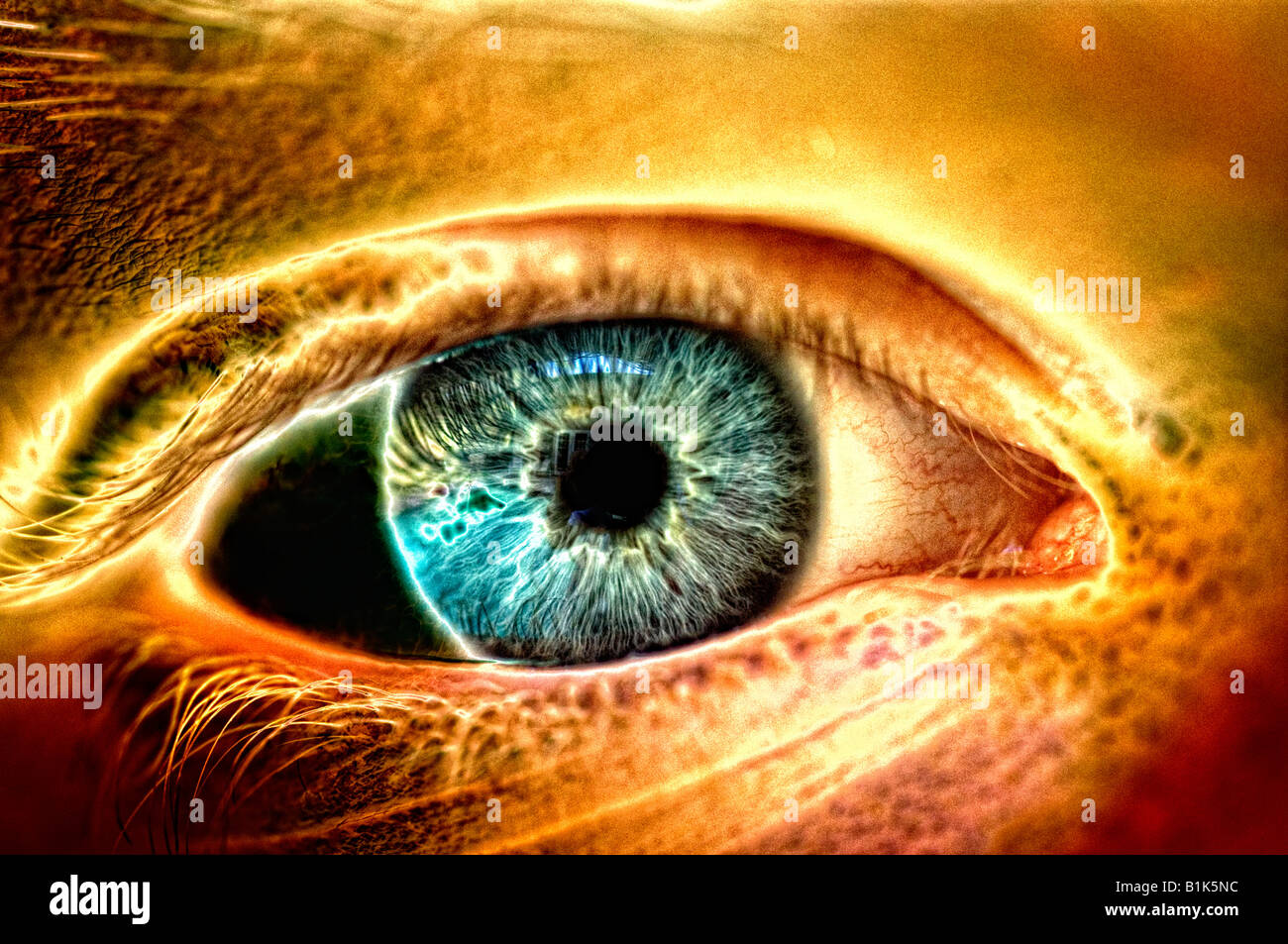 closeup view of human eye solarized Stock Photo - Alamy