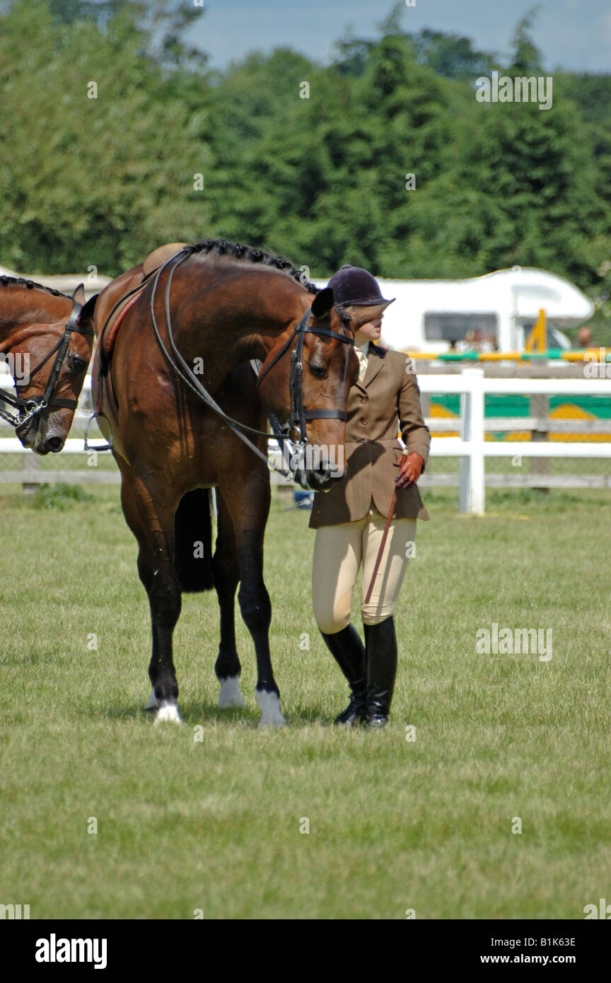 horse and rider Stock Photo - Alamy