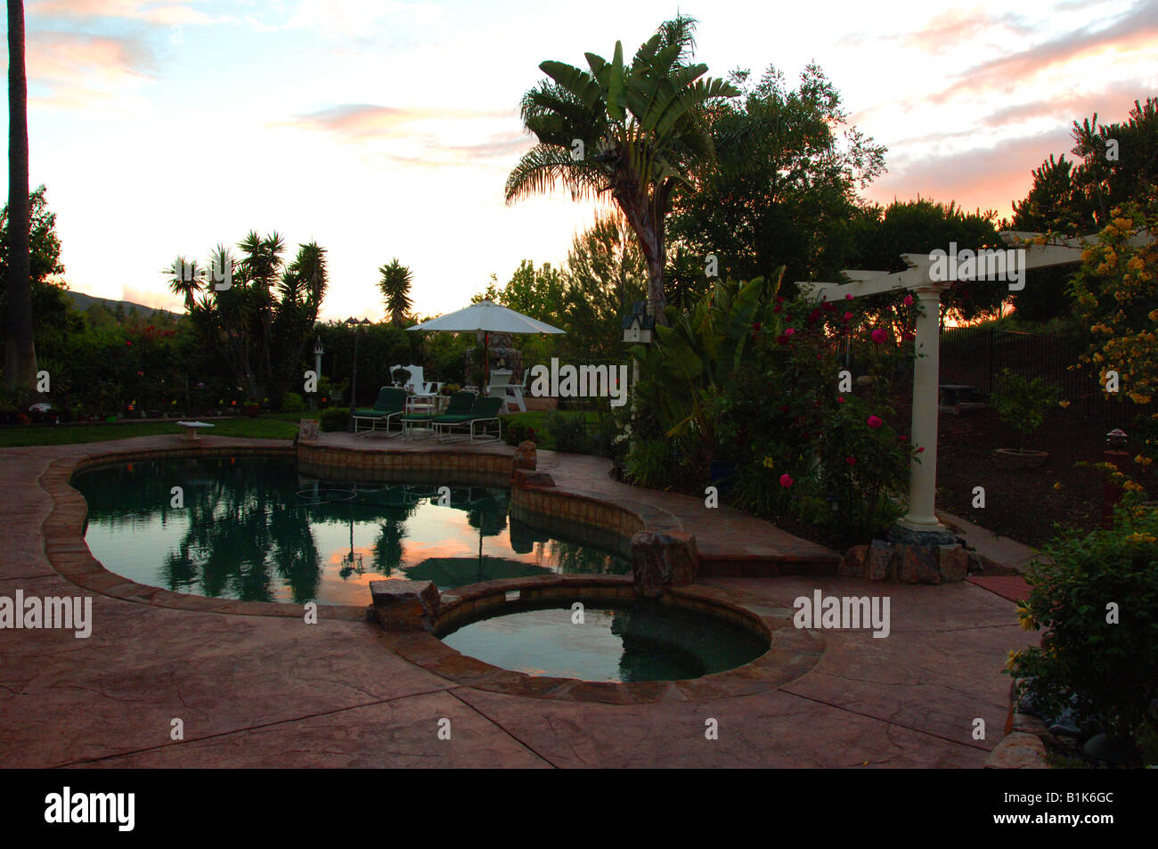 Los angeles palm tree pool hi-res stock photography and images - Alamy