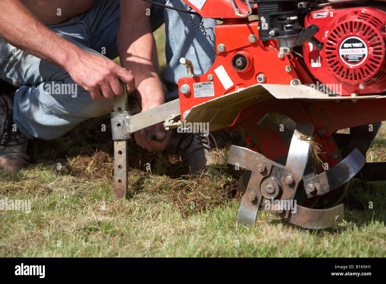man adjusting the dig depth of a petrol driven garden rotavator being ...