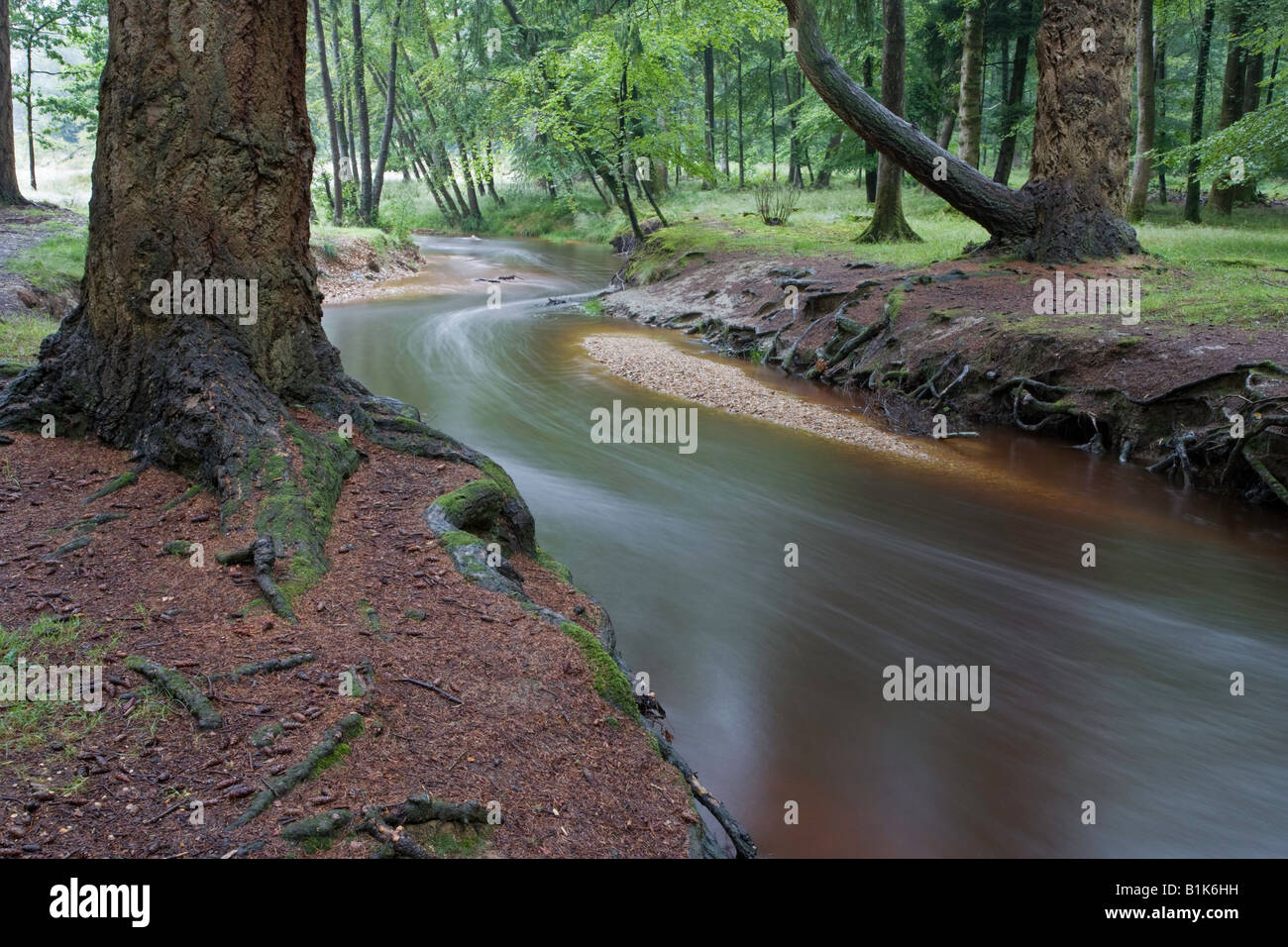 New Forest river after heavy rain Stock Photo - Alamy