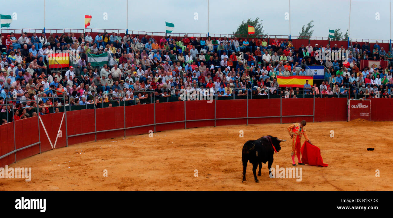 Bullfighting matador muleta fighting bull hi-res stock photography and ...
