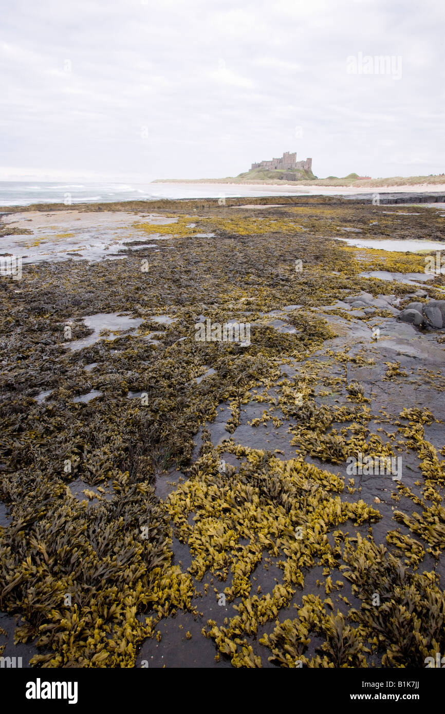 Northumbria castle hi-res stock photography and images - Alamy