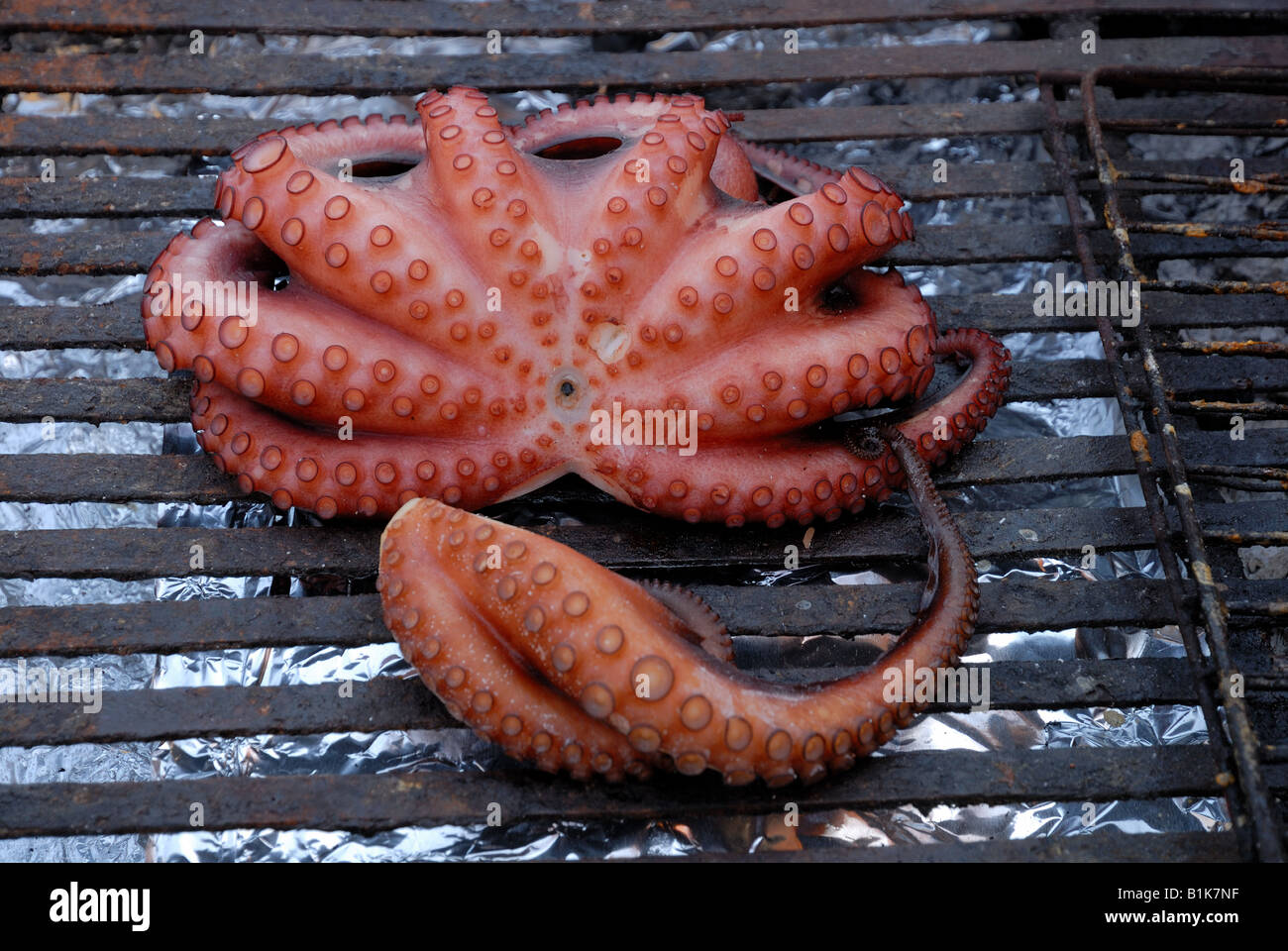 Octopus on the barbecue Stock Photo - Alamy