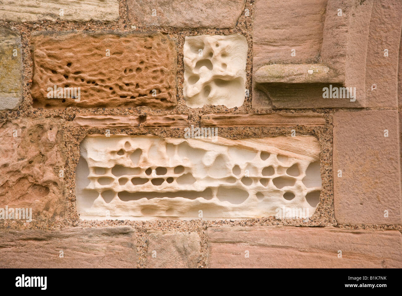 Sandstone weathering hi-res stock photography and images - Alamy