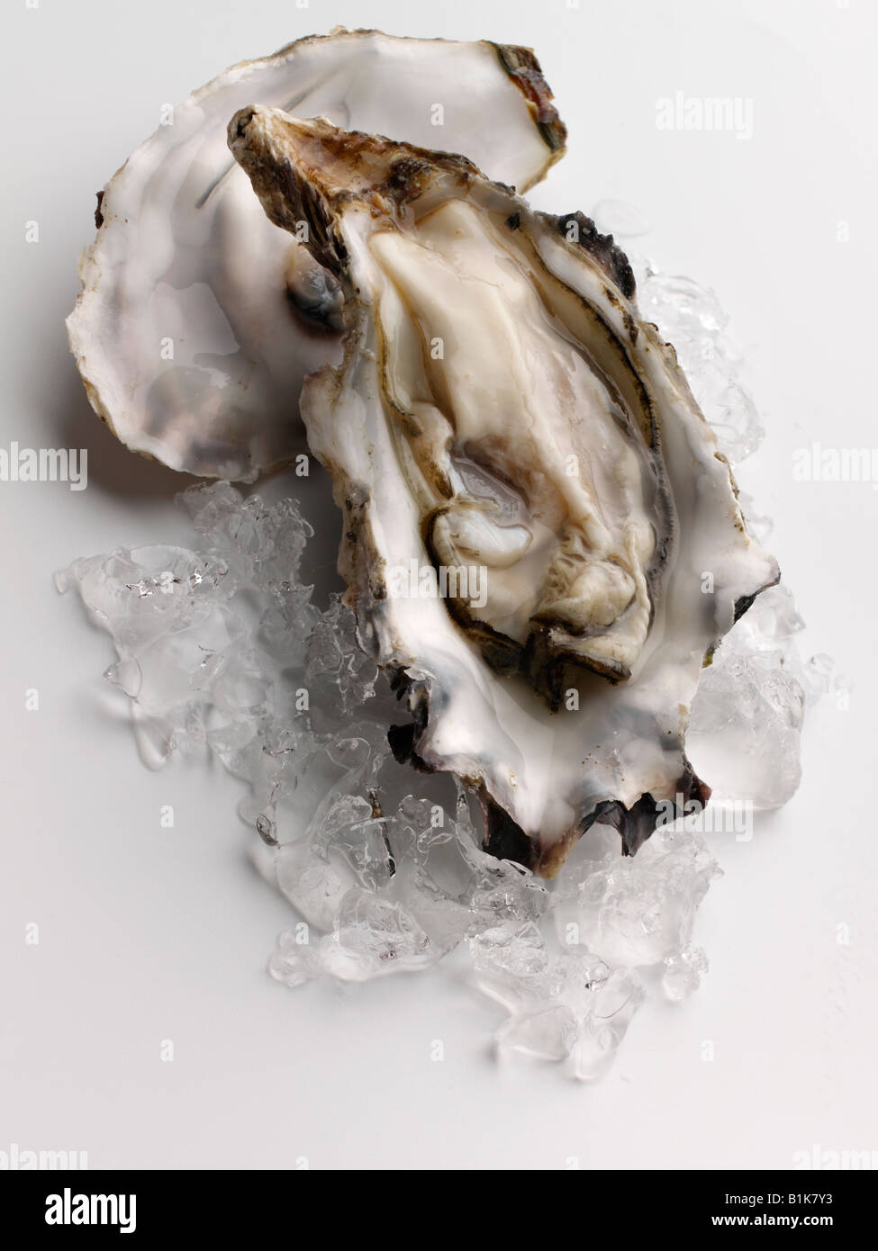 Gourmet seafood still life photograph hi-res stock photography and ...