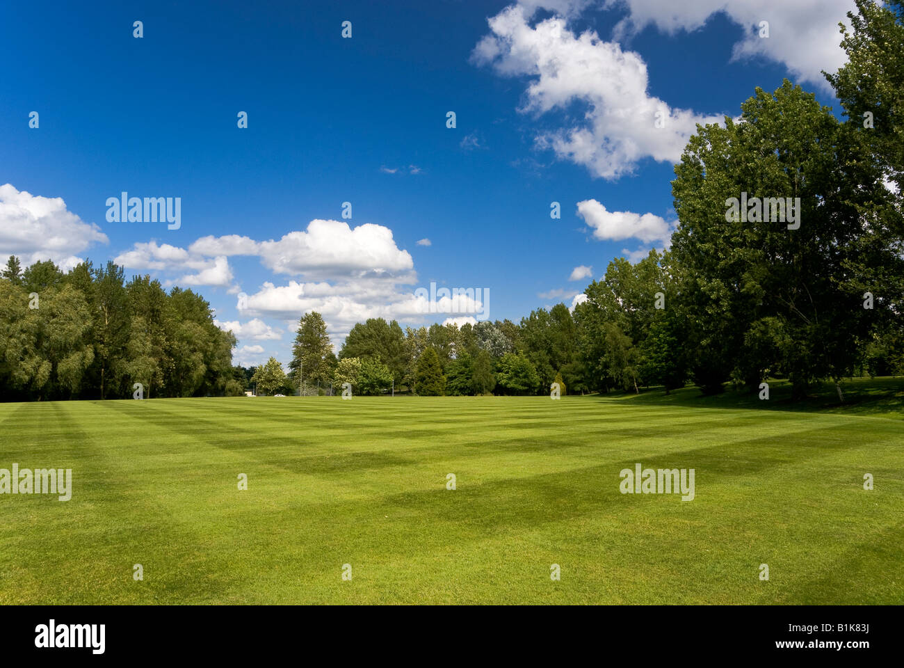 Traditional english grass lawn under puffy clouds by the Surrey ...