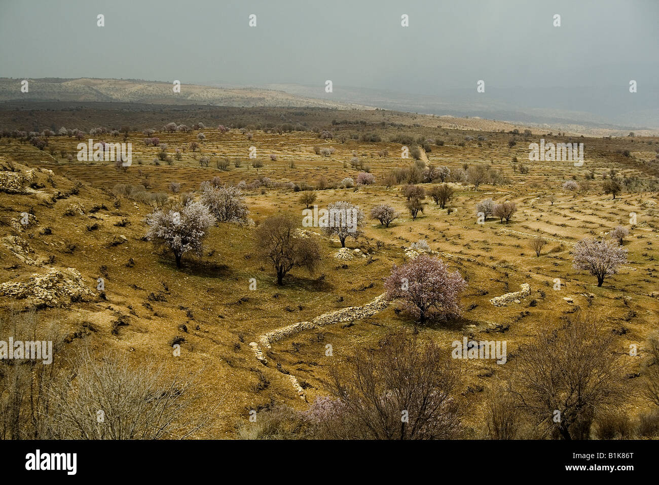 Spring of iran hi-res stock photography and images - Alamy