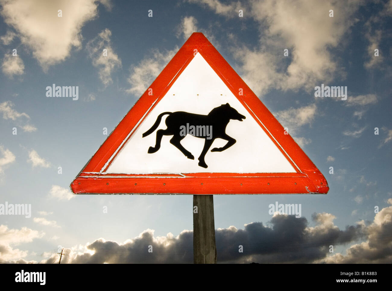 Road sign warning of horses against a beautiful sky Stock Photo - Alamy