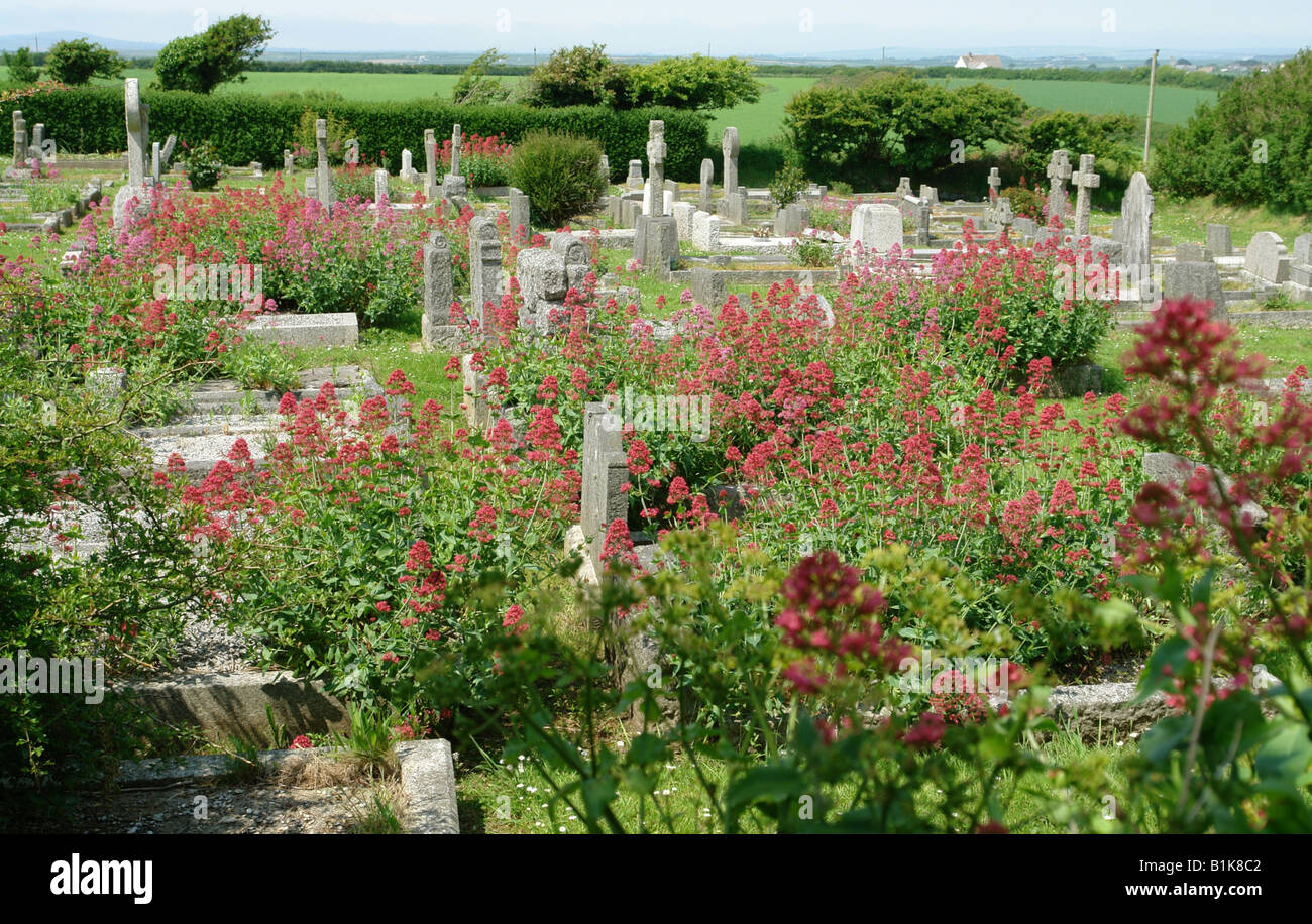 Kerrier council hi-res stock photography and images - Alamy