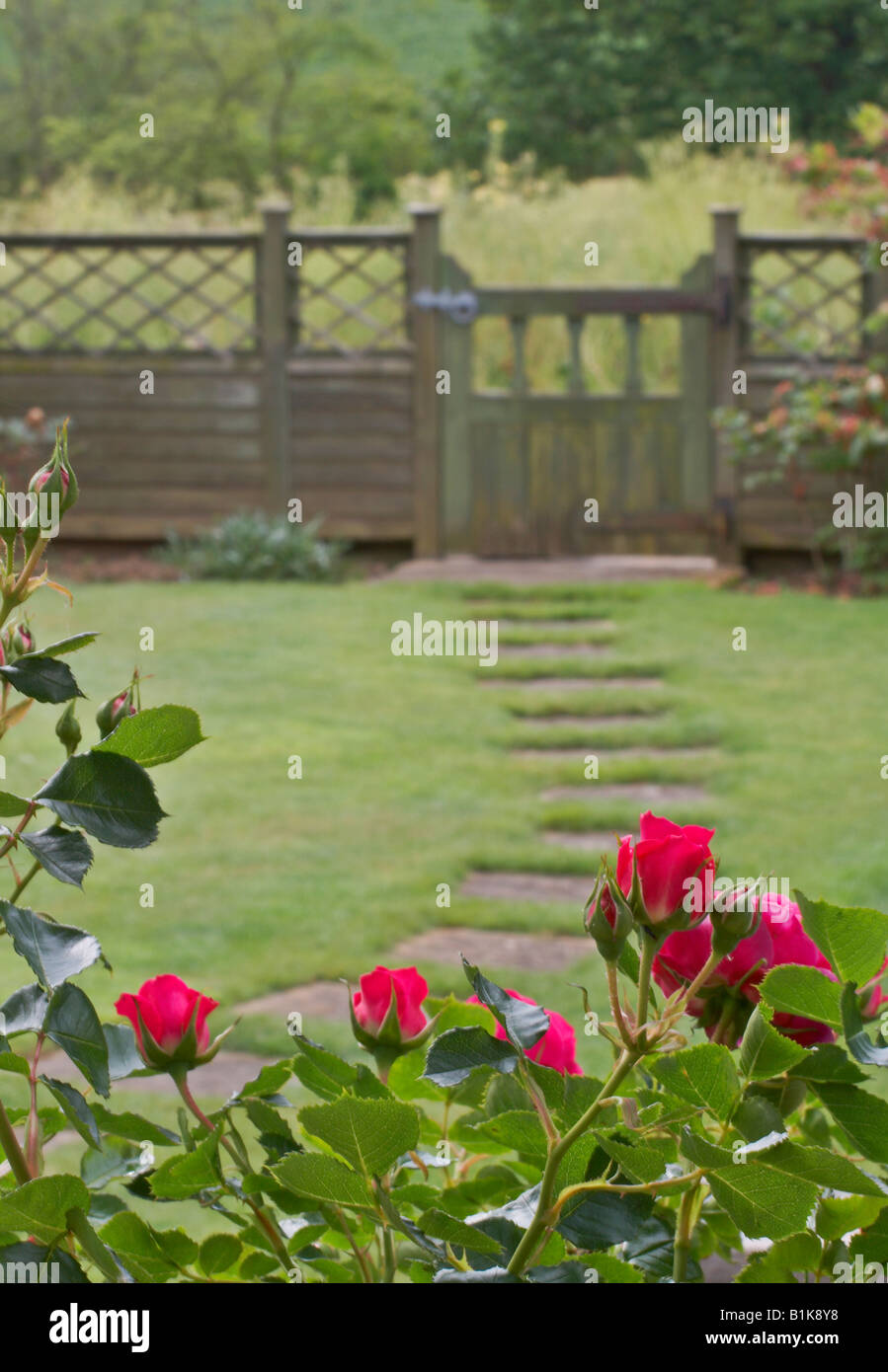 Rose pathway hi-res stock photography and images - Alamy