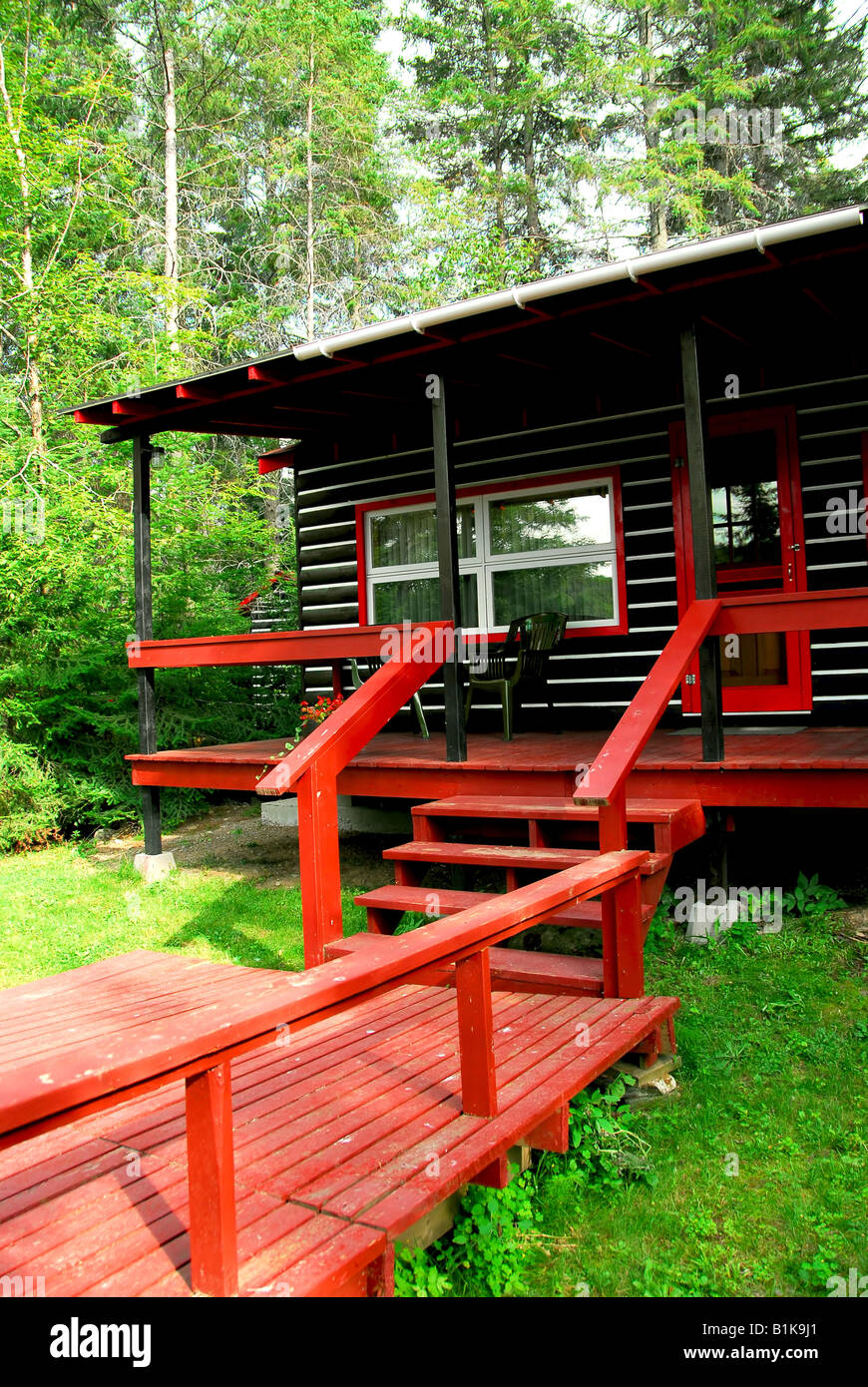 Log cabin in the pine forest Stock Photo - Alamy