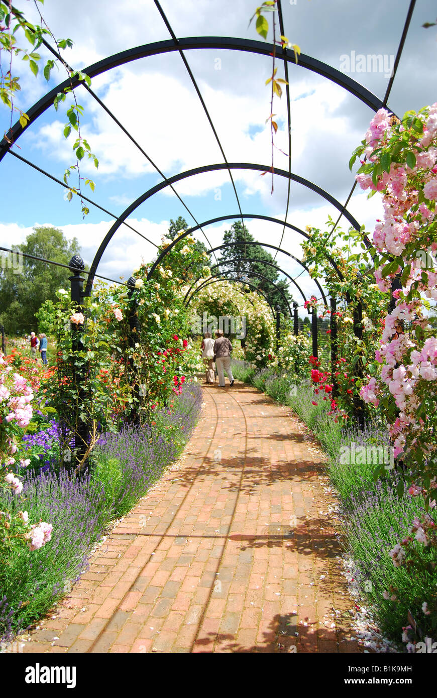 Gardens of the Rose, Chiswell Green, St. Albans, Hertfordshire, England ...