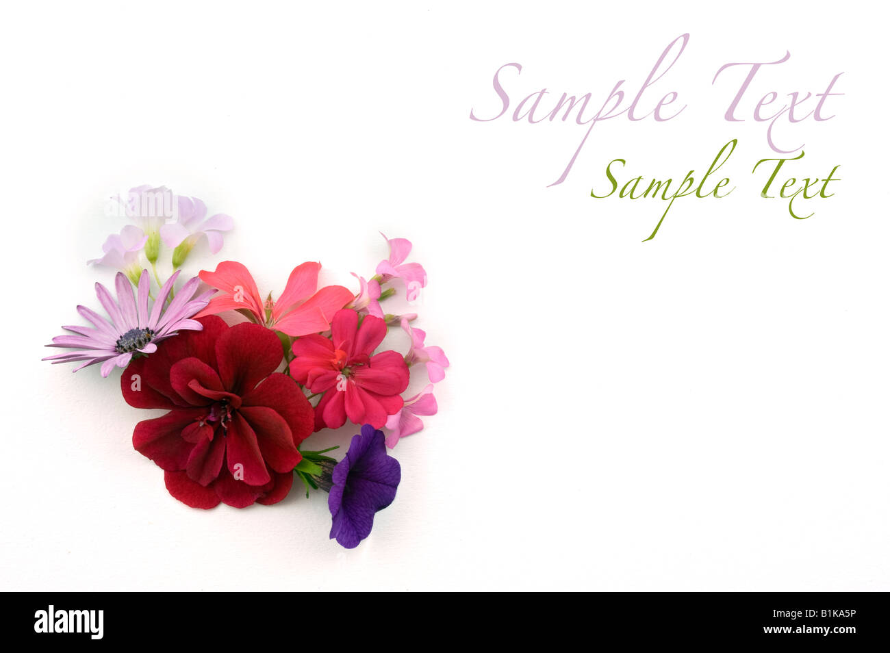 floral background corner design element of various flowers Stock Photo ...