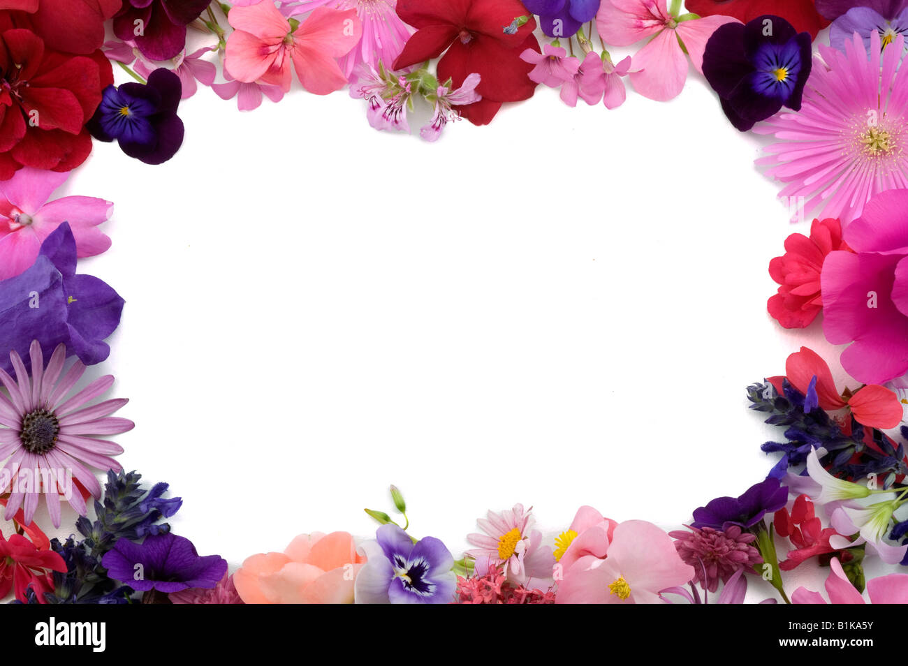 background frame of various flowers Stock Photo - Alamy