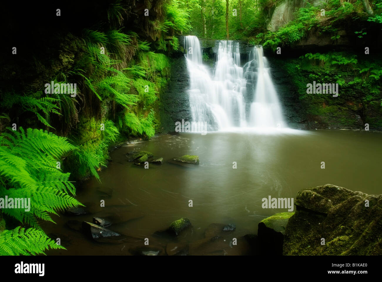 Stock movement hi-res stock photography and images - Alamy