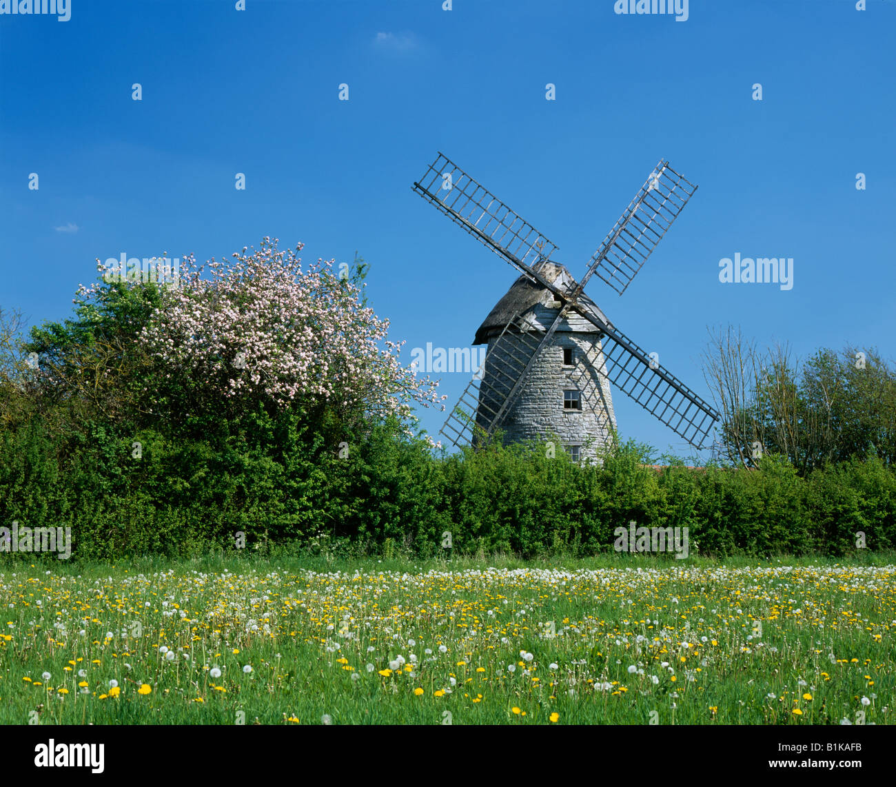 Stembridge Tower Mill the thatched windmill at High Ham in Somerset ...