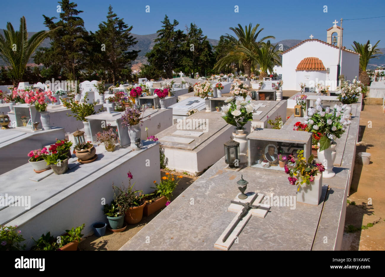 Traditional cemetery at Malia on the Greek Mediterranean island of ...