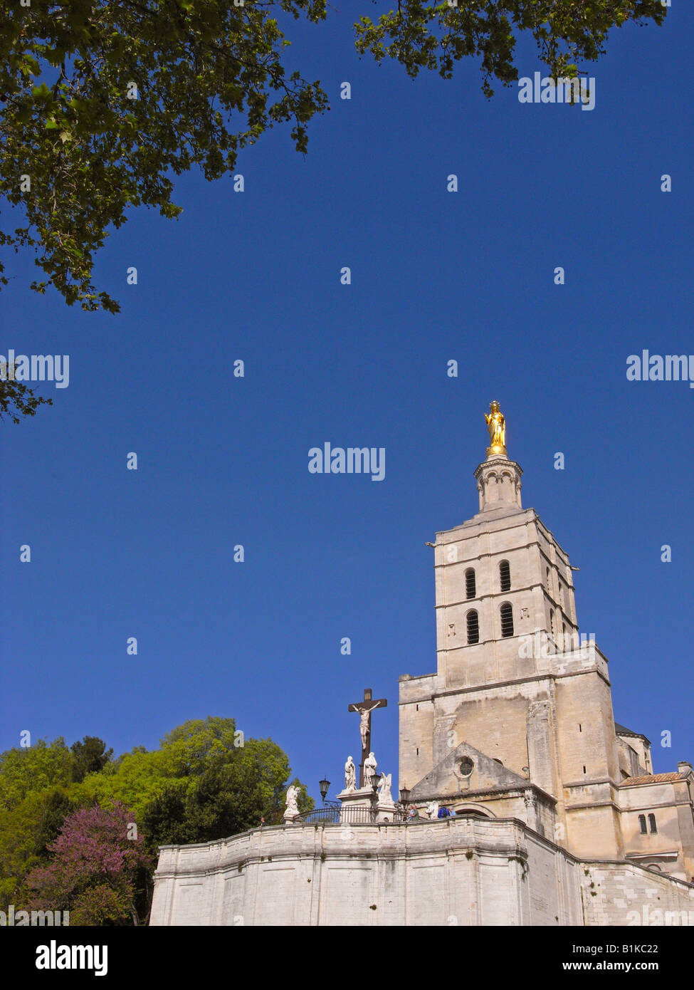 Cathédrale Notre Dame des Doms Avignon France Stock Photo - Alamy