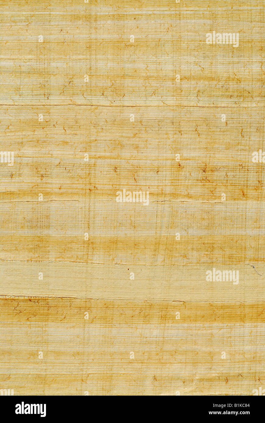 Natural papyrus background Stock Photo - Alamy