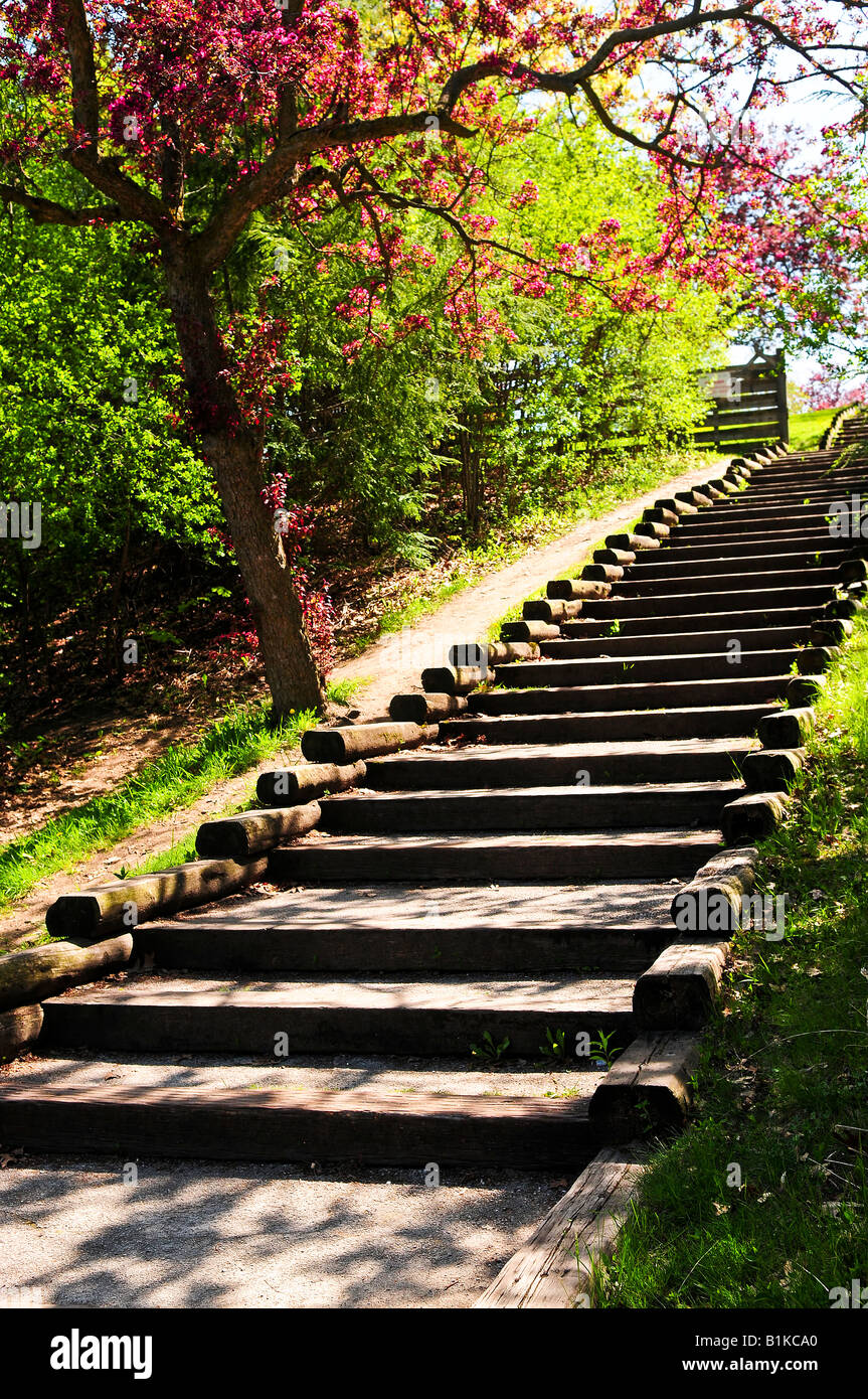 Wooden stairway in a spring park with blooming apple tree Stock Photo ...
