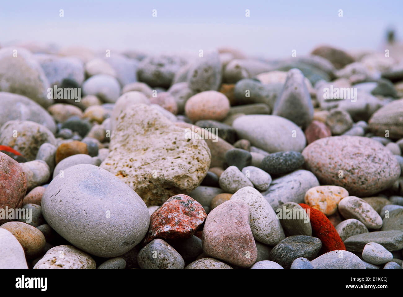Background of colofrul beach pebbles of different shapes and water ...
