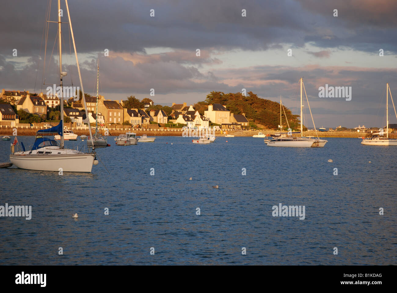 Ile de Batz Harbour Finistère Brittany France Stock Photo - Alamy