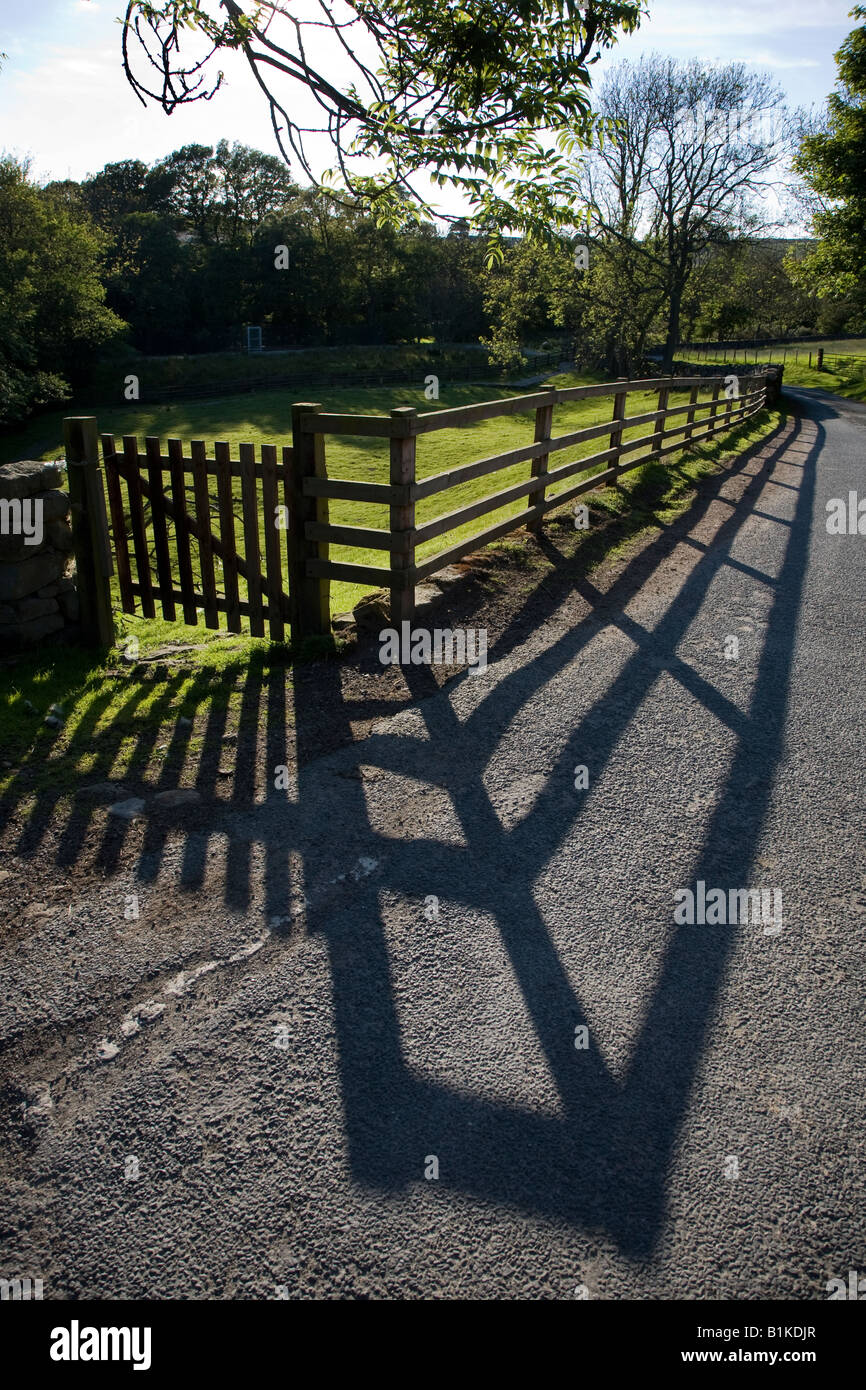 Gate shadows hi-res stock photography and images - Alamy
