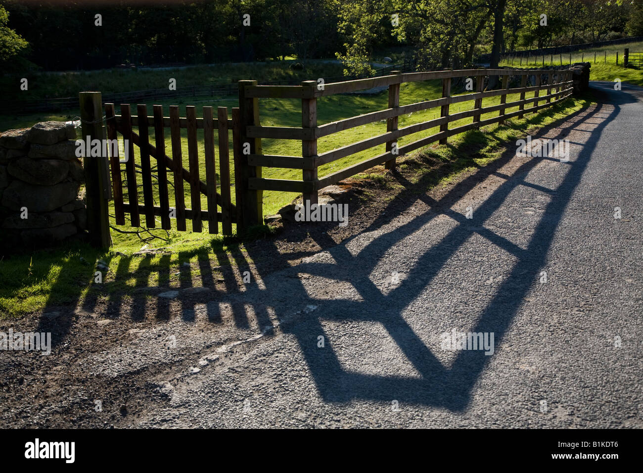 Evening sunlight casts shadows of a gate a fence in a country lane ...