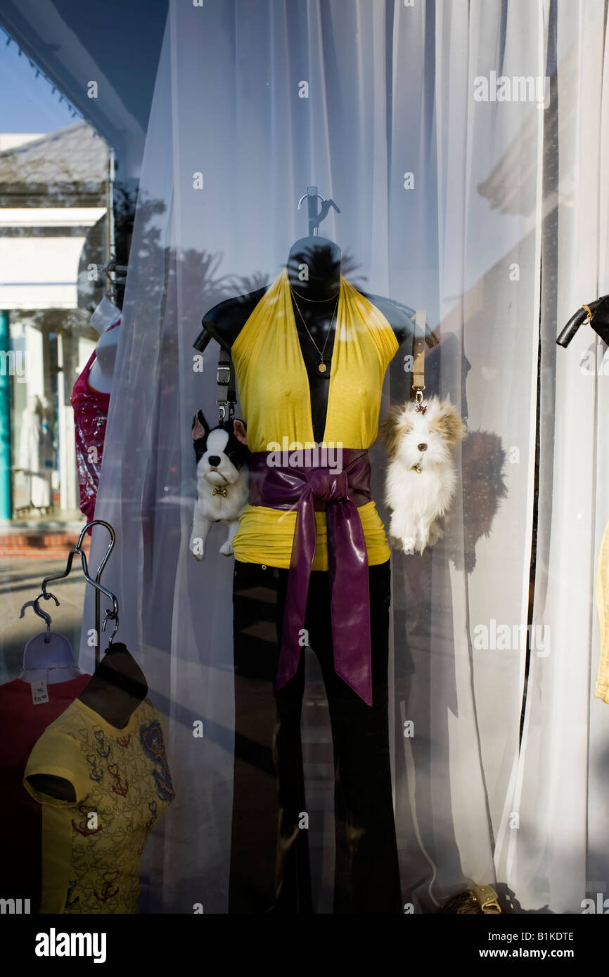 Window Display, Stuffed Animals Stock Photo - Alamy
