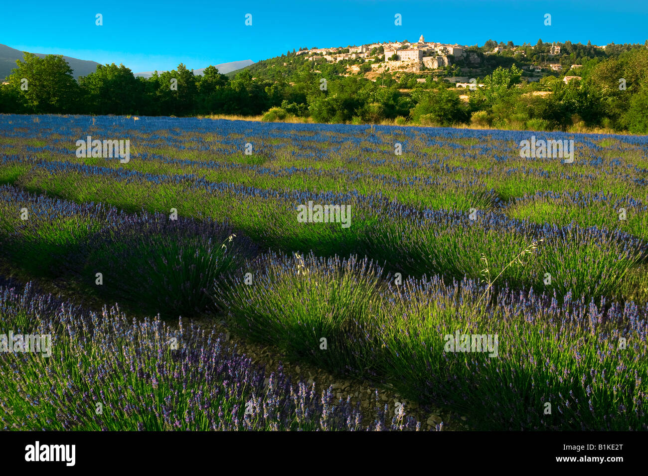 SAULT VAUCLUSE PROVENCE FRANCE Stock Photo - Alamy