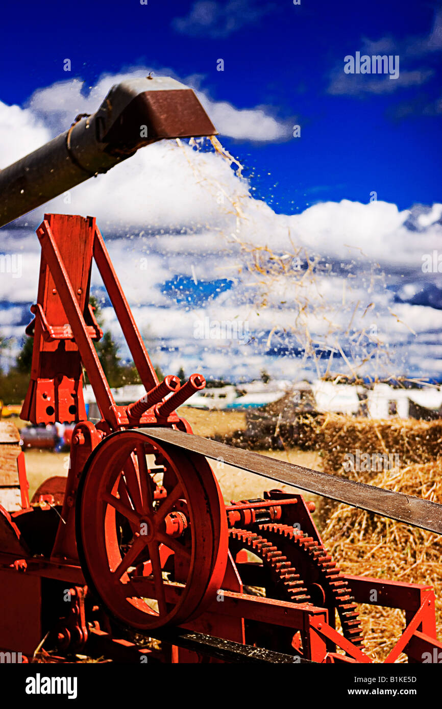 Thrashing wheat hi-res stock photography and images - Alamy
