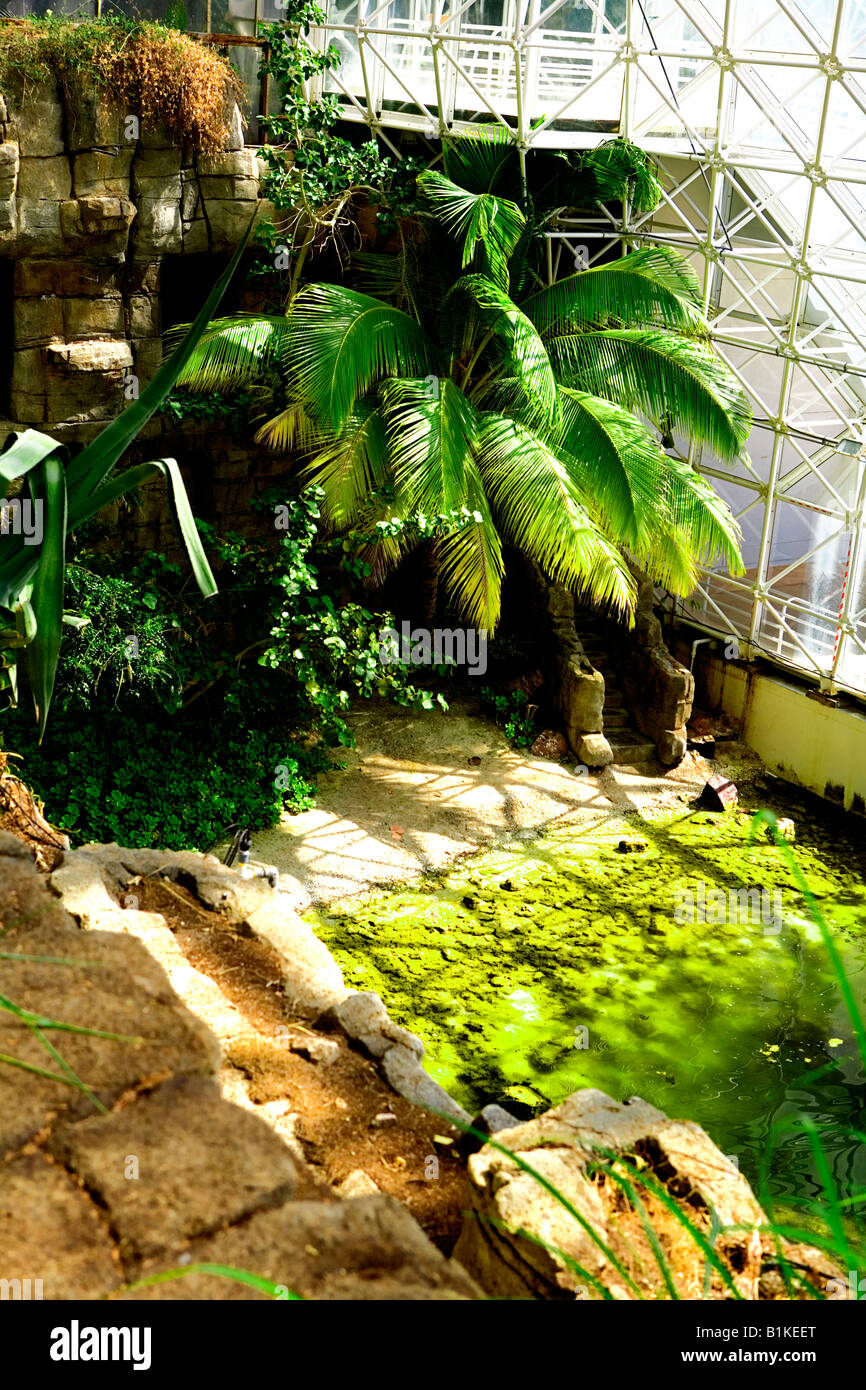 Human research facility 2 hi-res stock photography and images - Alamy